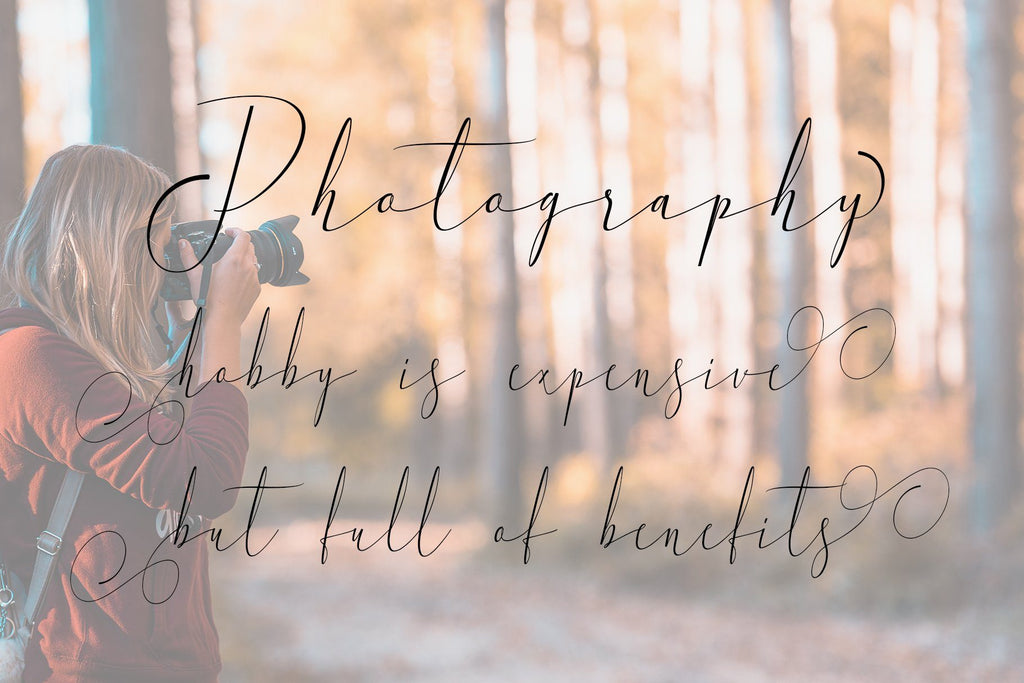 Absolute - So Fontsy