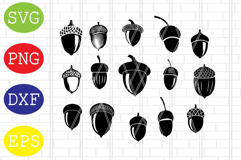 Acorn SVG, Acorn Cricut, Acorn Clipart, Acorn SVG Bundle, Acorn Cut ...