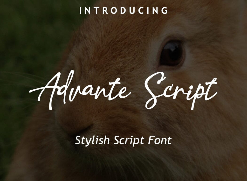 Advante Script Font - So Fontsy