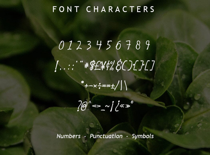 Advante Script Font - So Fontsy