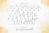 Aisbum Slashey - Modern Script Font - So Fontsy