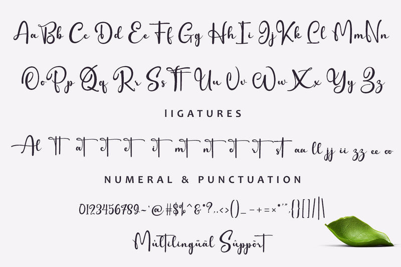 Aliya Script - So Fontsy