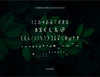 Alondra Handwritten Font - So Fontsy