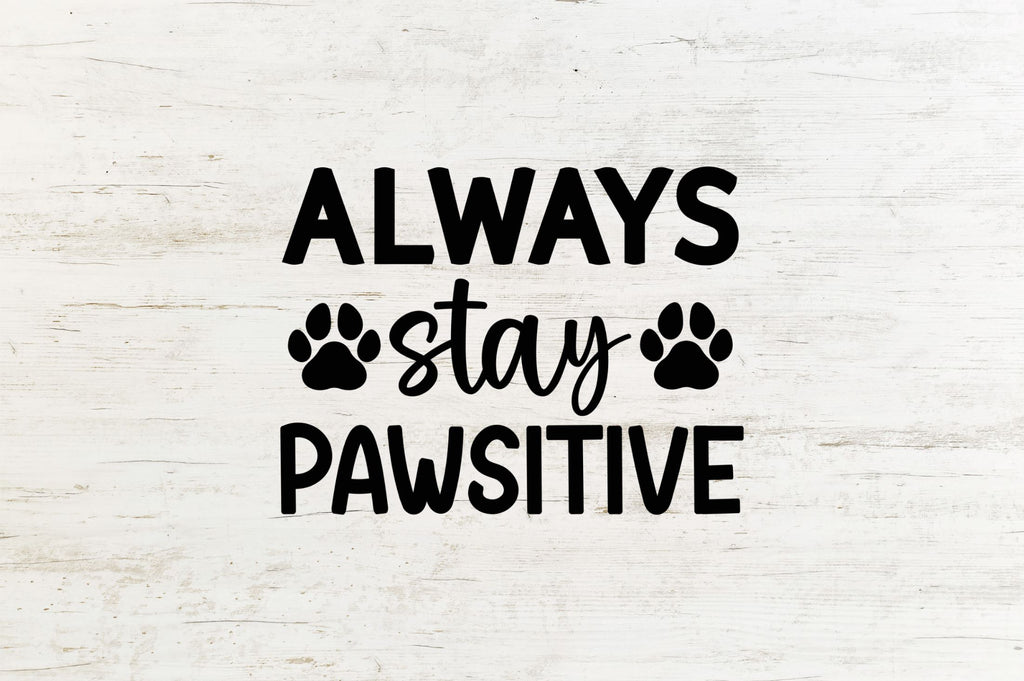 Always stay pawsitive SVG - So Fontsy