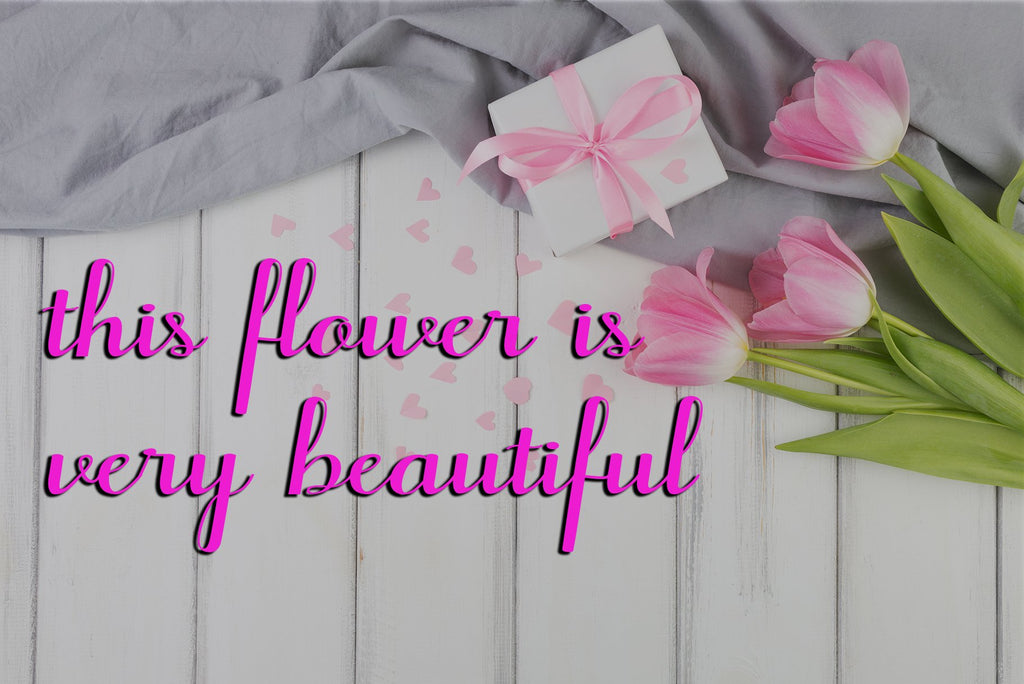 Amanda Script - So Fontsy