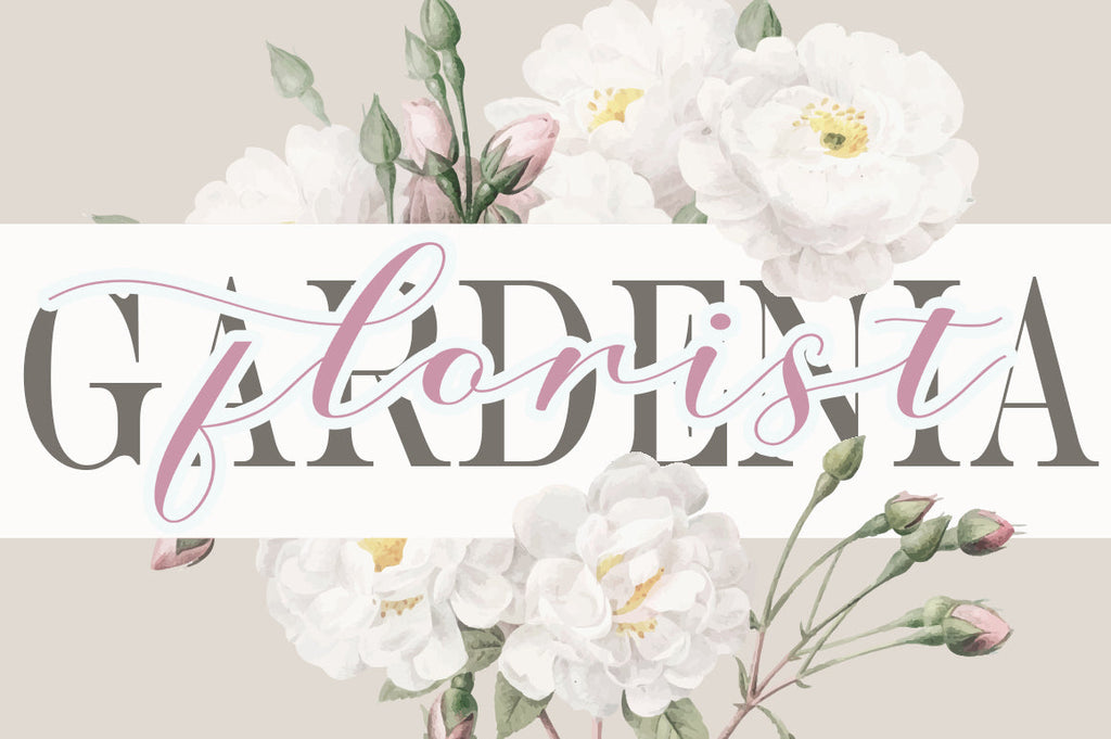 Amanda script - So Fontsy