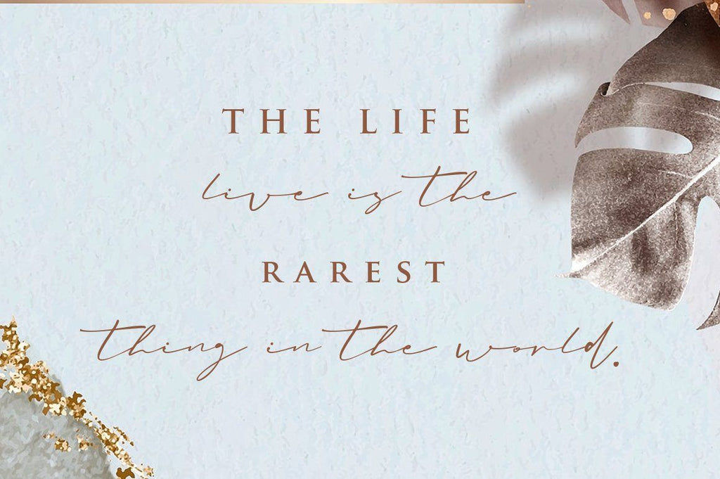 Amanda - Signature Cursive Font - So Fontsy