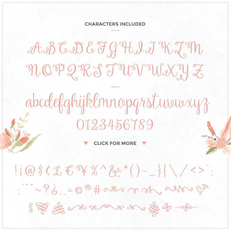 Amelia Script - So Fontsy