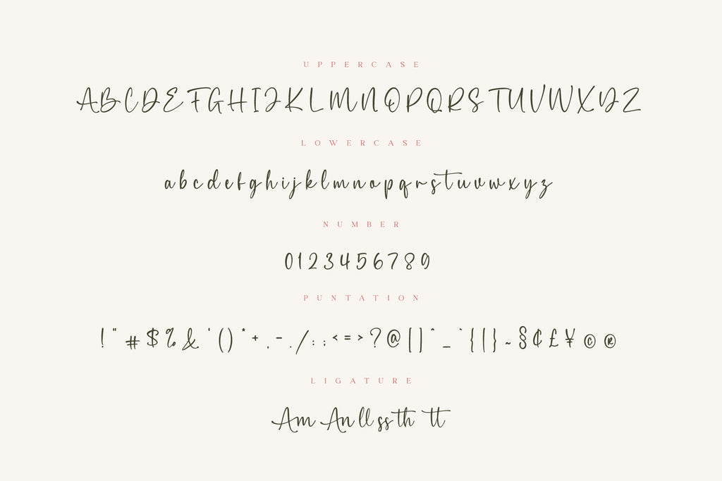 Amellia // Elegant Script Font - So Fontsy