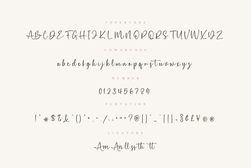 Amellia // Elegant Script Font - So Fontsy