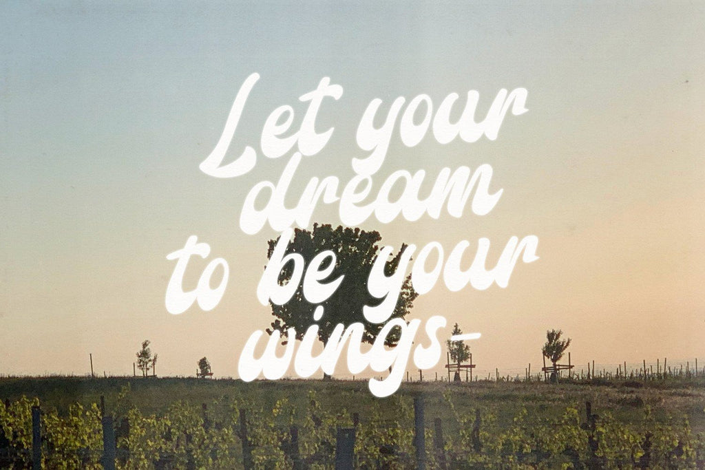 Amigos Script - Retro Bold Script Font - So Fontsy