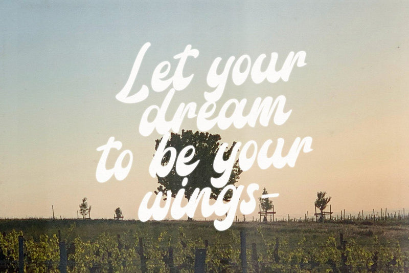 Amigos Script - Retro Bold Script Font - So Fontsy