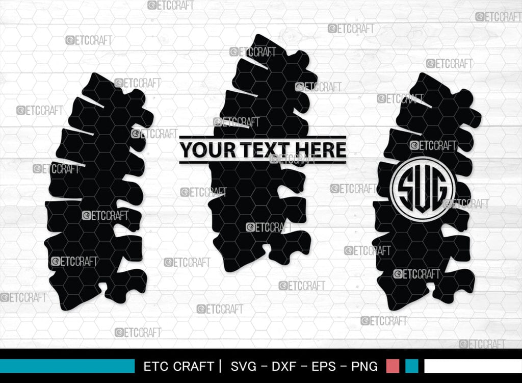 Anatomy Spine monogram, Anatomy Spine Silhouette, Anatomy Spine SVG, Human Spine Svg, Anatomy ...