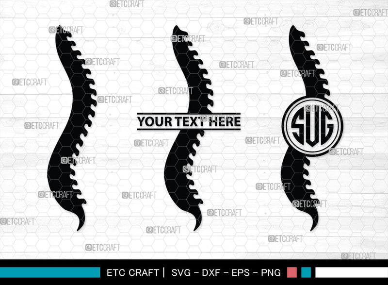 Anatomy Spine monogram, Anatomy Spine Silhouette, Anatomy Spine SVG ...
