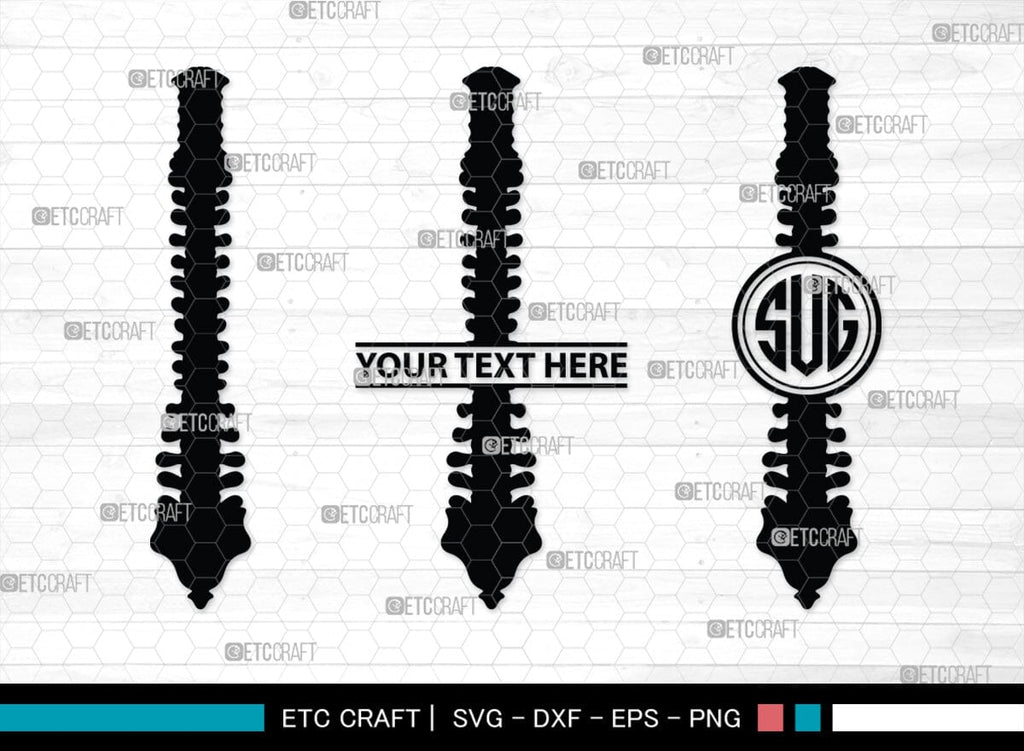 Anatomy Spine monogram, Anatomy Spine Silhouette, Anatomy Spine SVG, Human Spine Svg, Anatomy ...