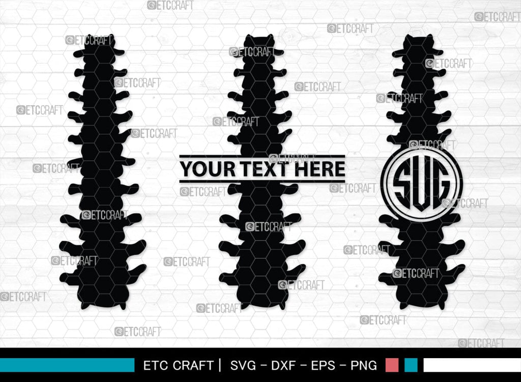 Anatomy Spine monogram, Anatomy Spine Silhouette, Anatomy Spine SVG ...