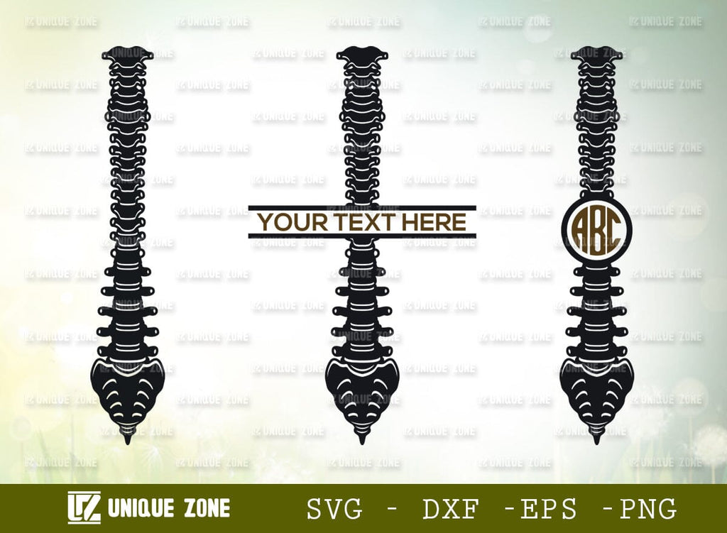 Anatomy Spine Monogram SVG Cut File, Anatomy Svg, Human Spine Svg ...