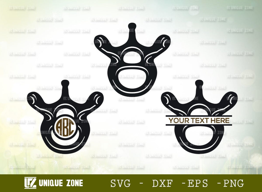 Anatomy Spine Monogram SVG Cut File, Anatomy Svg, Human Spine Svg ...