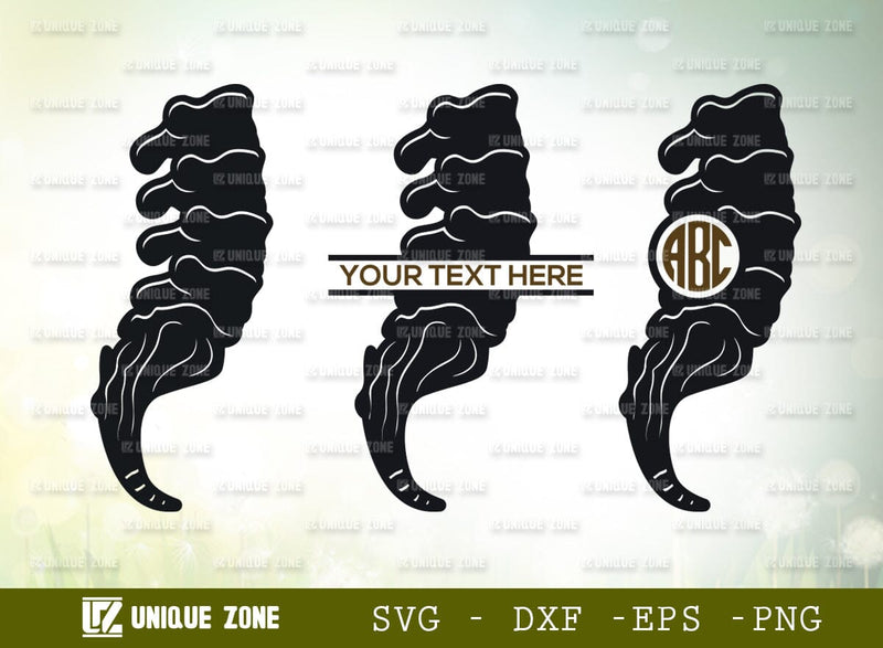 Anatomy Spine Monogram SVG Cut File, Anatomy Svg, Human Spine Svg ...