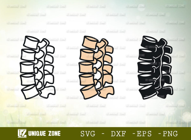 Anatomy Spine SVG Cut File, Anatomy Svg, Human Spine Svg, Spine Svg, Bones Svg, Spinal Cord Svg ...