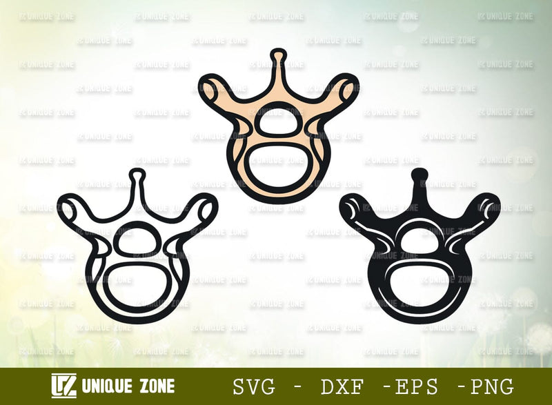 Anatomy Spine SVG Cut File, Anatomy Svg, Human Spine Svg, Spine Svg ...