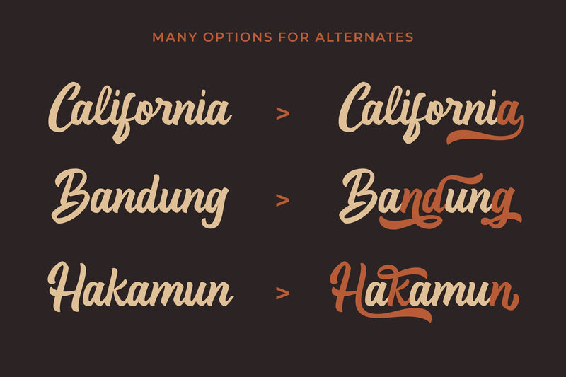 Anboug - Bold Handwritten Font - So Fontsy