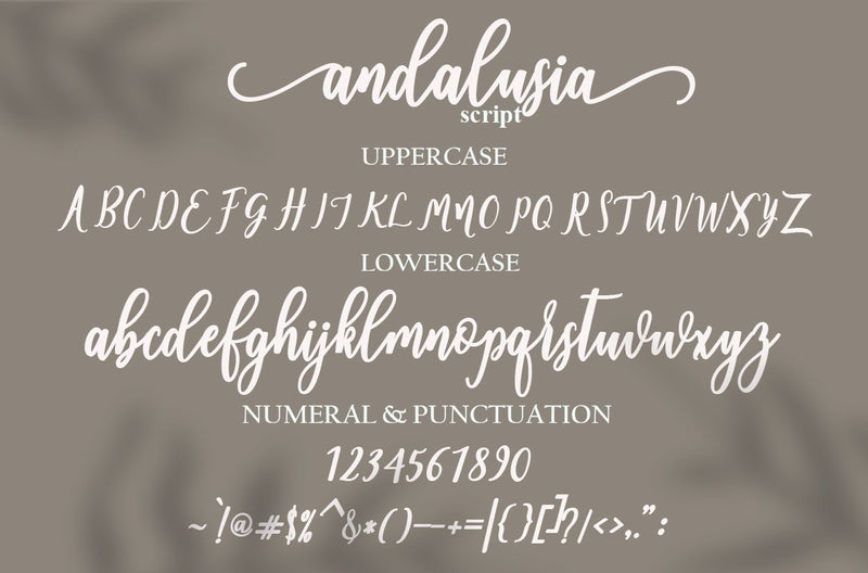 andalusia | Font Swirly, Cricut font, - So Fontsy