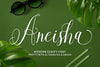 Aneisha Script - So Fontsy