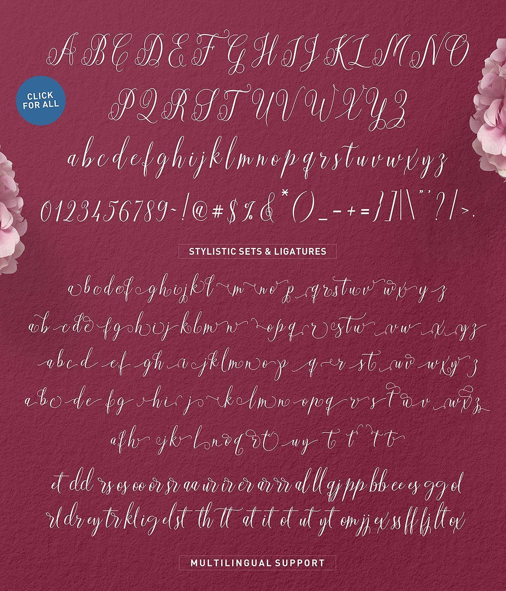 Aneisha Script - So Fontsy