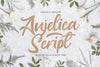 Anjelica Script - Bold Script Font - So Fontsy
