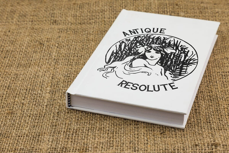 Antique Resolute - Modern Slab Serif Font. - So Fontsy