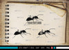Ants Monogram, Ants Silhouette, Ants SVG, Tiny Ants Svg, Ant Svg, Insect Svg, SB00224 - So Fontsy
