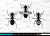 Ants Monogram, Ants Silhouette, Ants SVG, Tiny Ants Svg, Ant Svg, Insect Svg, SB00224 - So Fontsy