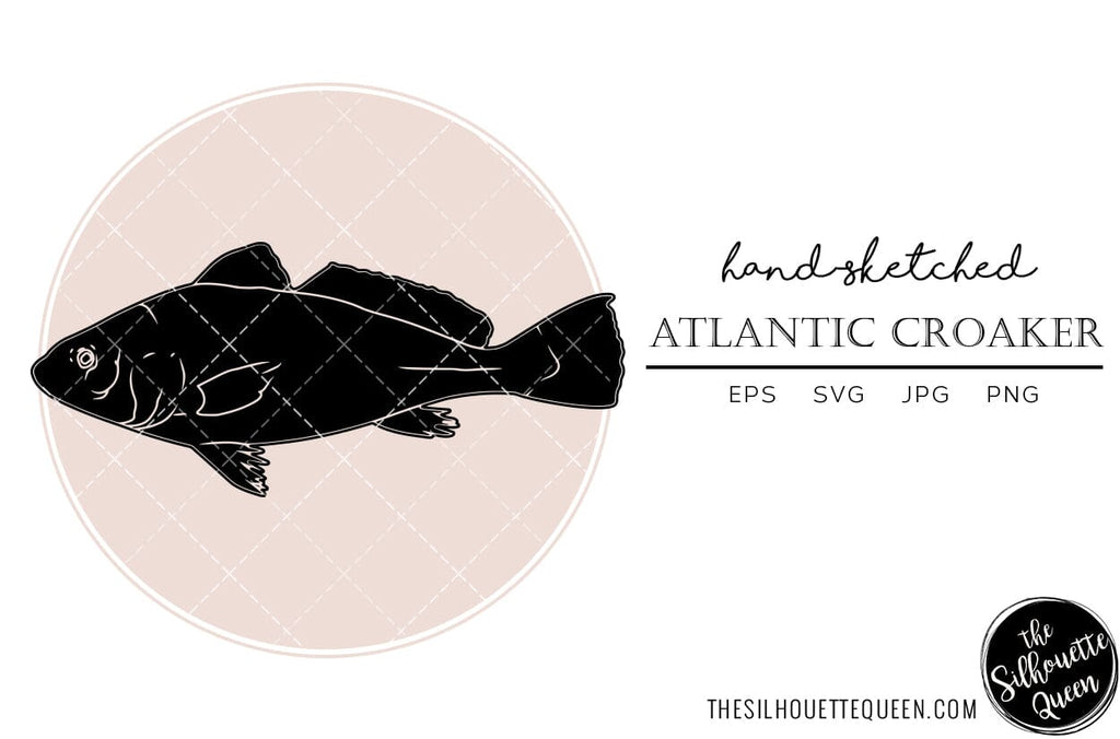 Atlantic Croaker Hand sketched, hand drawn vector clipart - So Fontsy