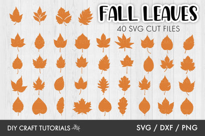 Autumn Leaves SVG | Fall Leaves SVG - So Fontsy