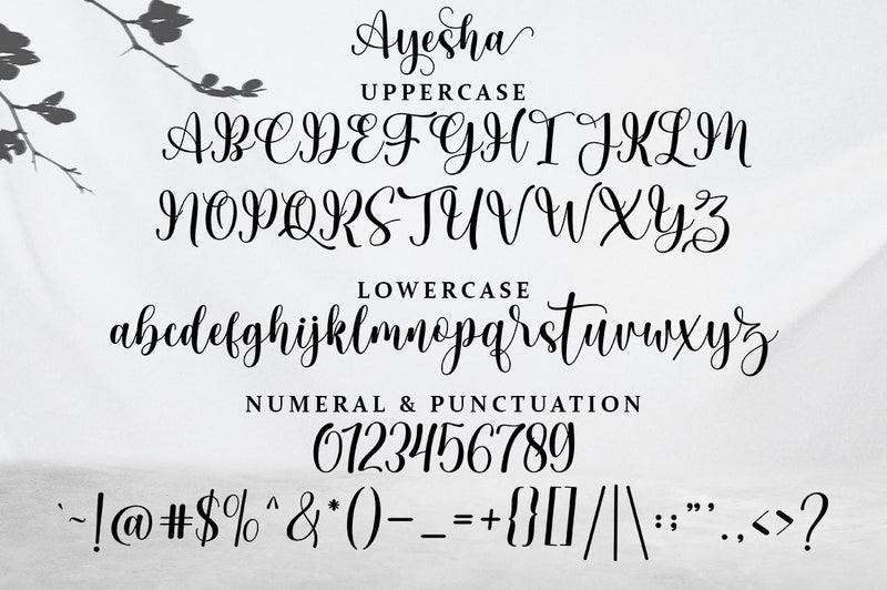 Ayesha Script - So Fontsy