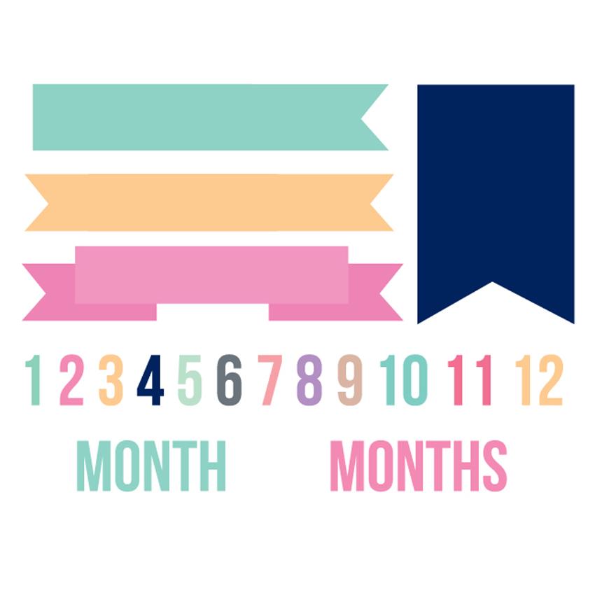 Baby Month Banner Set - So Fontsy
