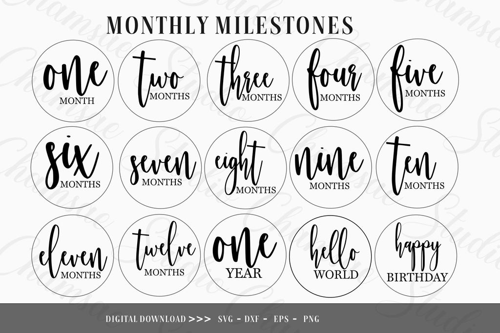 Baby Monthly milestone svg, Milestone discs svg, Baby Milestone SVG ...
