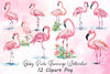 Baby Pink Flamingo Watercolor Clipart - So Fontsy