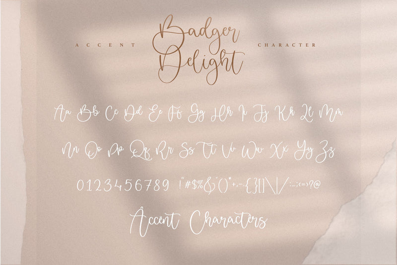 Badger Delight Modern Monoline Script Font - So Fontsy