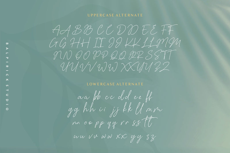 Baldive Signature Monoline Font - So Fontsy