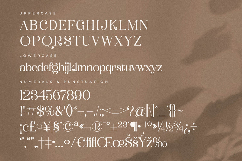 Balerga Typeface - So Fontsy