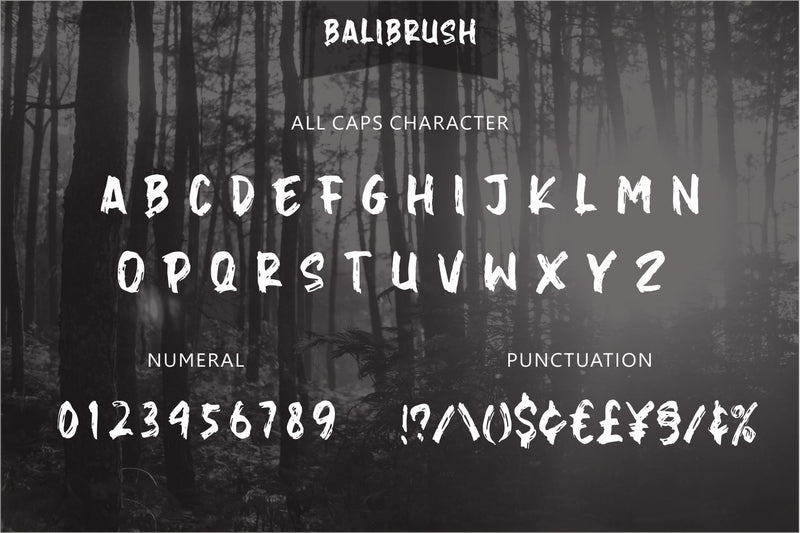 Balibrush - Rough Brush Font - So Fontsy