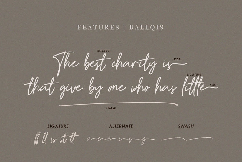 Balqis Script Font | So Fontsy