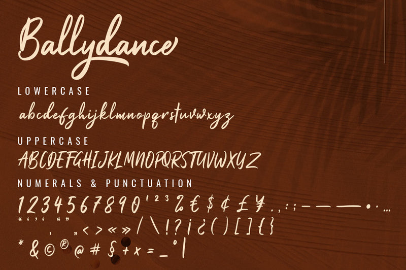 Ballydance - Handwritten Script Font - So Fontsy