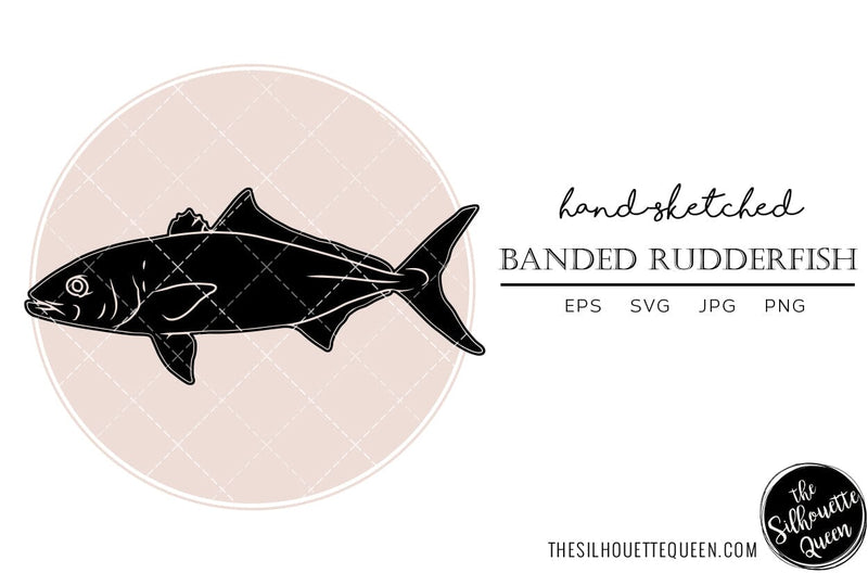 Banded Rudderfish Hand sketched, hand drawn vector clipart - So Fontsy