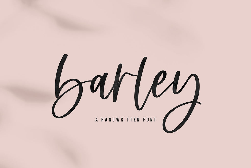 Barley - Modern Script Font - So Fontsy