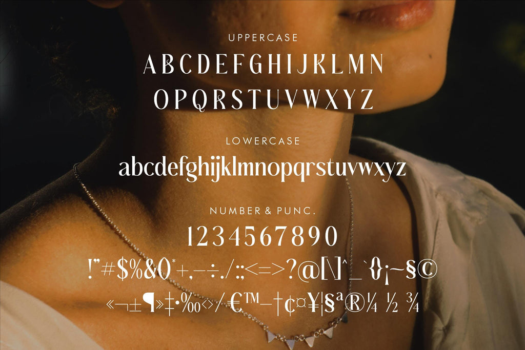 Bashield Typeface - So Fontsy