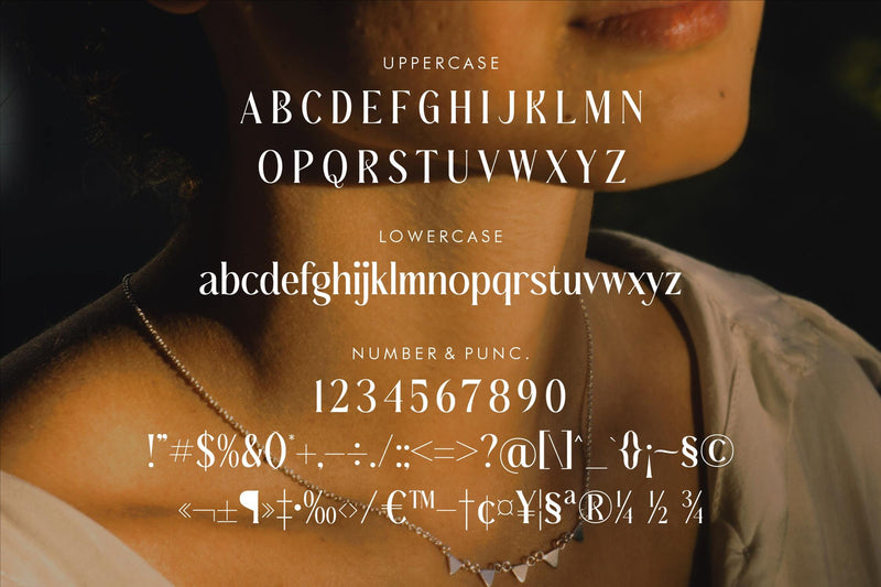 Bashield Typeface - So Fontsy