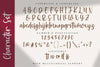 Baweni - Handwritten Script Font - So Fontsy